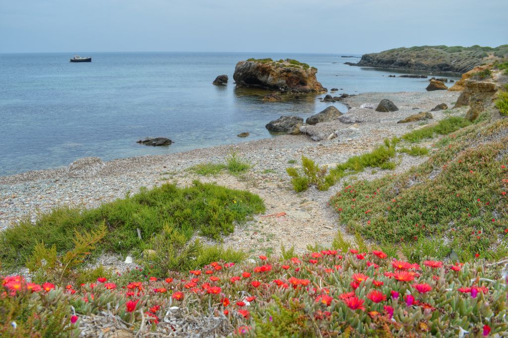 Uitstapje vanuit Alicante: boottocht naar Tabarca eiland